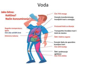 Voda - zašto i koliko je potrebno za normalnu funkciju organizma?